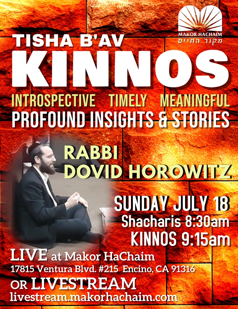 Tisha B'AV Kinnos Profound Insights & Stories with Rabbi Dovid Horowitz